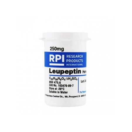 Rpi Leupeptin Hemisulfate, 250 MG L22035-0.25 | Zoro