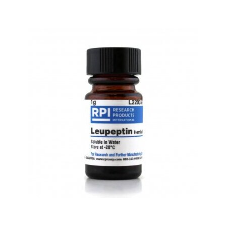 Rpi Leupeptin Hemisulfate, 1 G L22035-1.0 | Zoro