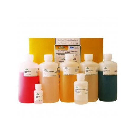 Zymo Research ZymoPURE II Plasmid Gigaprep, 5 Preps ZD4204 | Zoro