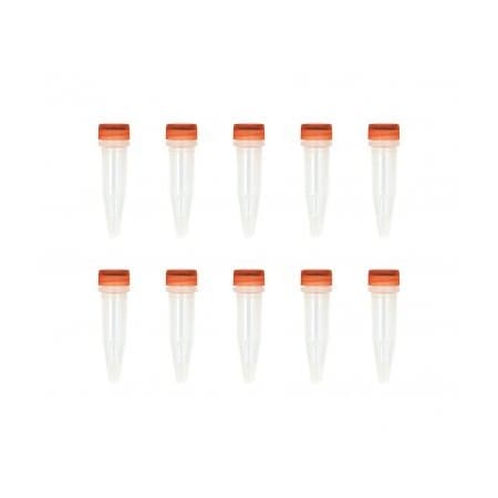 Zymo Research Mix & Go! Competent Cells-TG1, 10 x 100 µl ZT3017 | Zoro