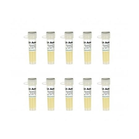 Zymo Research XJb(DE3) Autolysis, 10x100uml Mix & Go competent cells ...
