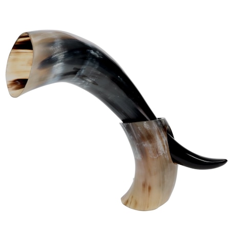 Olafs Ale House Tankherd Bovine Horn 20oz with Stand GH2132HORN | Zoro