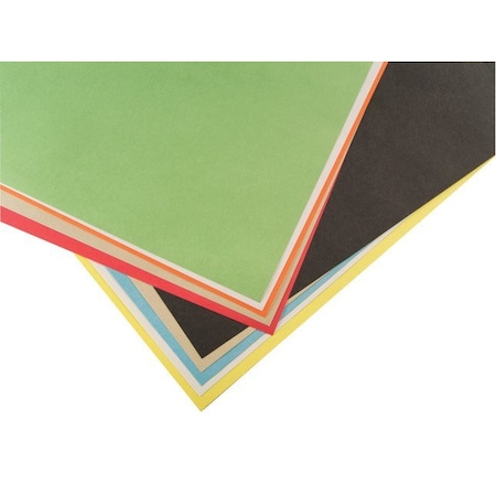 School Smart TAGBOARD LIGHTWEIGHT 22.5X28.5 PK OF 100 PK 1122AS | Zoro