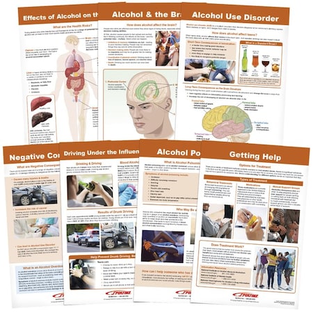 Sportime BULLETIN BOARD ALCOHOL ABUSE AND ADDICTION PK 96-6046 | Zoro
