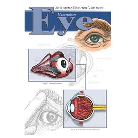 Frey Scientific Mini-Guide to Mammalian Eye Dissection 420.4204.1 | Zoro