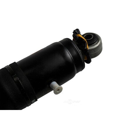 Acdelco Shock Absorber - Rear, 84176675 84176675 | Zoro