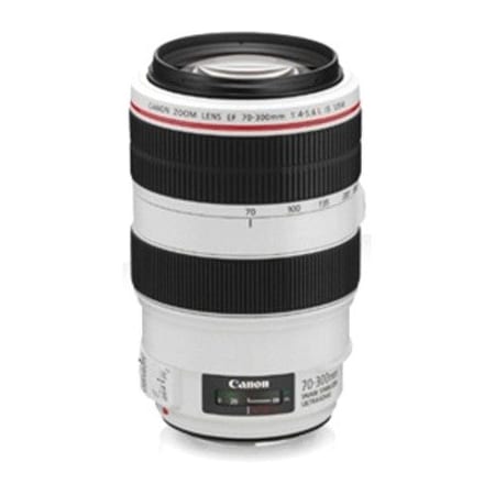 Canon Ef 70-300Mm F/4-5.6L Is Usm Lensw/Case Lp1424 Lens Hood Et-73B ...