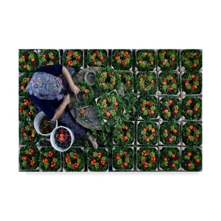 Trademark Fine Art Caner Baser 'Wreath Making' Canvas Art, 22x32 ...
