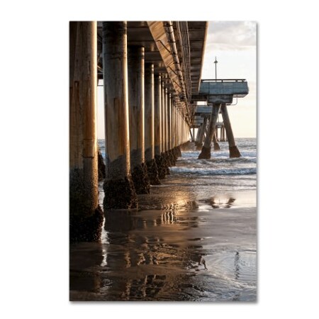 Trademark Fine Art Lori Hutchison 'Venice Beach Pier' Canvas Art, 30x47 ...