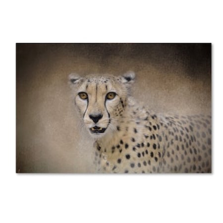 Trademark Fine Art Jai Johnson 'The Cheetah' Canvas Art, 30x47 ALI13980 ...