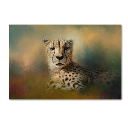 Trademark Fine Art Jai Johnson 'Cheetah Enjoying A Summer Day' Canvas ...