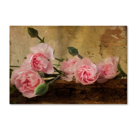 Trademark Fine Art Bob Rouse 'Pink Carnations' Canvas Art, 22x32 ...