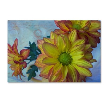 Trademark Fine Art Bob Rouse 'Pelee Mums 2' Canvas Art, 30x47 ALI16056 ...