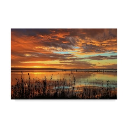 Trademark Fine Art Incredi 'Coastal Sunset' Canvas Art, 30x47 ALI36016 ...
