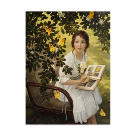 Trademark Fine Art Alan Murray 'Butterflie Garden' Canvas Art, 35x47 ...
