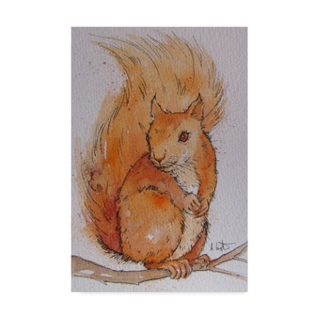 Trademark Fine Art Angie Livingstone 'Squirrel On White' Canvas Art ...