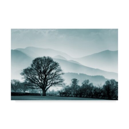 Trademark Fine Art Tom Quartermaine 'Blue Landscape With Tree' Canvas ...