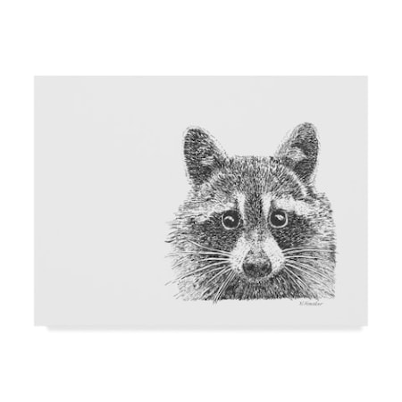 Trademark Fine Art Let Your Art Soar 'Raccoon Line Art' Canvas Art ...