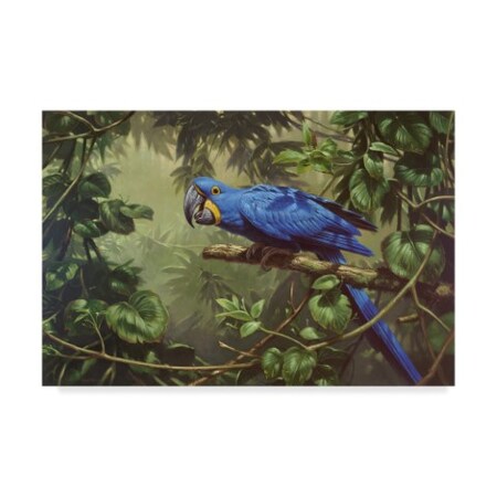 Trademark Fine Art Michael Jackson 'Hyacinth Macaw' Canvas Art, 30x47 ...