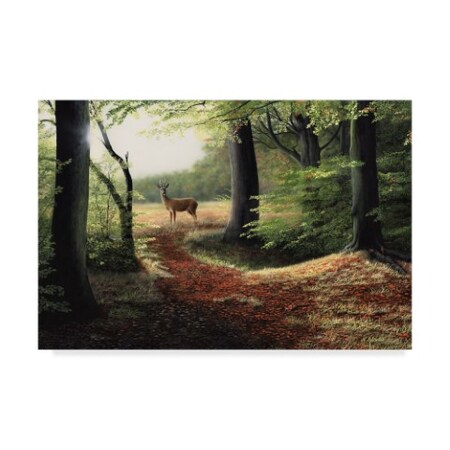 Trademark Fine Art Nigel Artingstall 'Roe Deer' Canvas Art, 16x24 ...