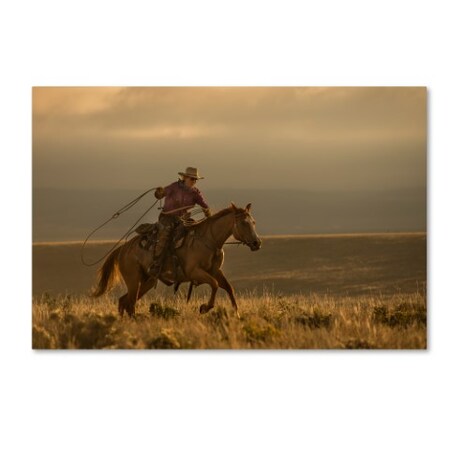 Trademark Fine Art Dan Ballard 'Ryder in Action' Canvas Art, 30x47 ...
