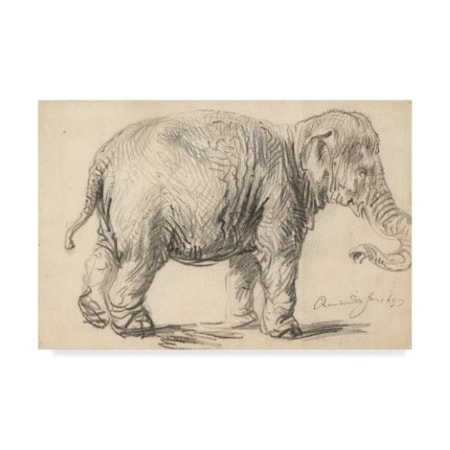 Trademark Fine Art Rembrandt 'An Elephant 1637 ' Canvas Art, 16x24 ...