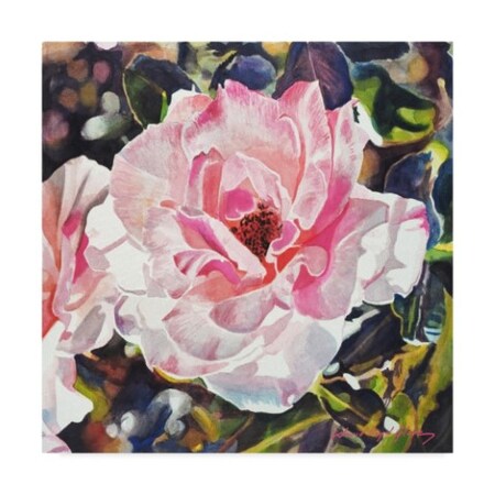 Trademark Fine Art David Lloyd Glover 'Renaissance Rose Blossom' Canvas ...