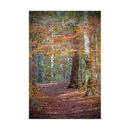 Trademark Fine Art Brooke T. Ryan 'Rust Fall Forest' Canvas Art, 30x47 ...