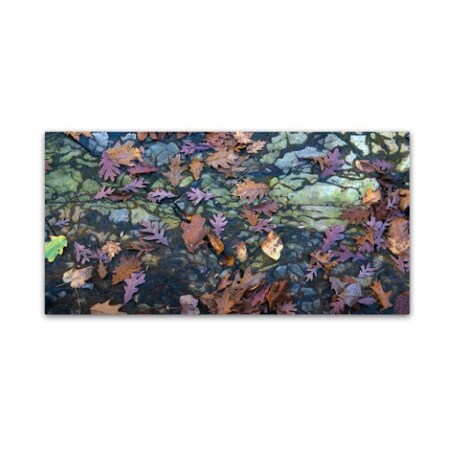 Trademark Fine Art Kurt Shaffer 'Autumn Mosaic' Canvas Art, 24x47 ...