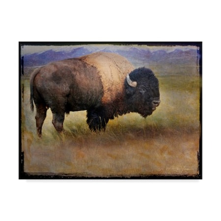 Trademark Fine Art Chris Vest 'Bison Portrait Mountains' Canvas Art ...