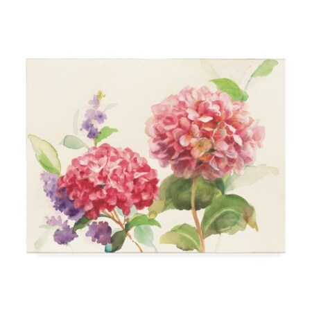 Trademark Fine Art Danhui Nai 'Watercolor Hydrangea' Canvas Art, 14x19 ...