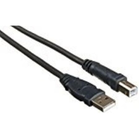 Belkin Belkin 16 ft. USB DSTP USB A to USB B Cable F3U133B16 | Zoro