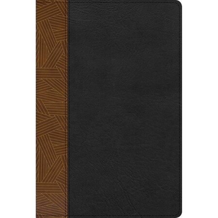 B&H Publishing & Holman Bible Span-RVR 1960 Rainbow Study Bible, Tan ...