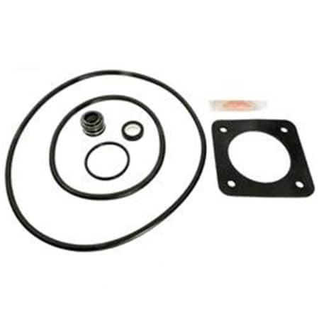 Perfectpitch Sta-Rite Dura Glas & Max E-Glas P2RA P2R Repair Kit ...