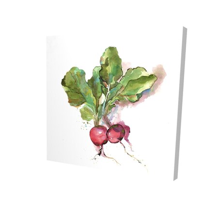 Begin Home Decor 16 x 16 in. Watercolor Radish-Print on Canvas 2080 ...