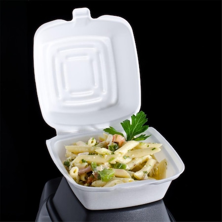 Dart Container 50HT1 5 x 5 x 3 in. White Foam Hinger Lid Container ...