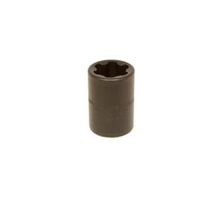Tool Time Sockets, EP-24 Torx Plus Socket, TO288140 TO288140 | Zoro