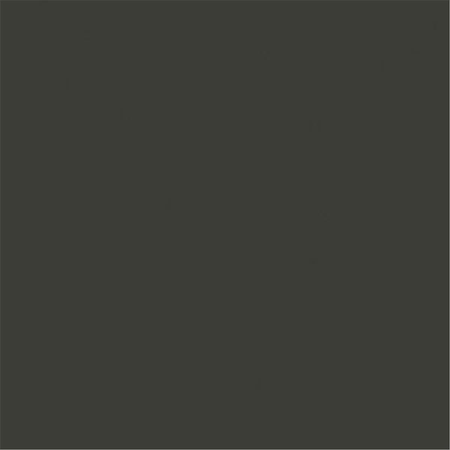 Tru-Color Paint Paint, Matte Dark Brown Tree Bark TCP438 | Zoro