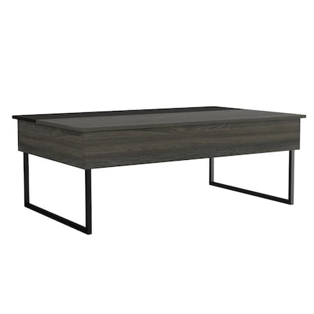 Gfancy Fixtures 49 in. Manufactured Wood Rectangular Lift Top Coffee ...