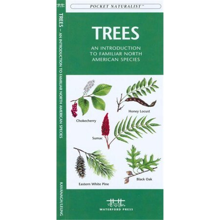 Waterford Press Trees Book: An Introduction to Familiar North American ...
