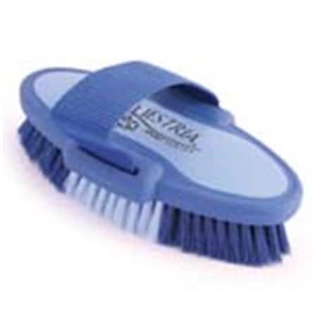 Desert Equestrian 6.75 Inch Small Equestrian Sport Oval Body Brush ...