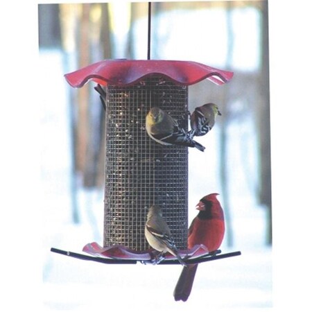 Birds Choice Birds Choice FF214 3 Quart Forever Feeder - Red FF214 | Zoro