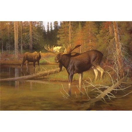 Custom Printed Rugs Custom Printed Rugs DM 62 Lambson Moose Intruder ...
