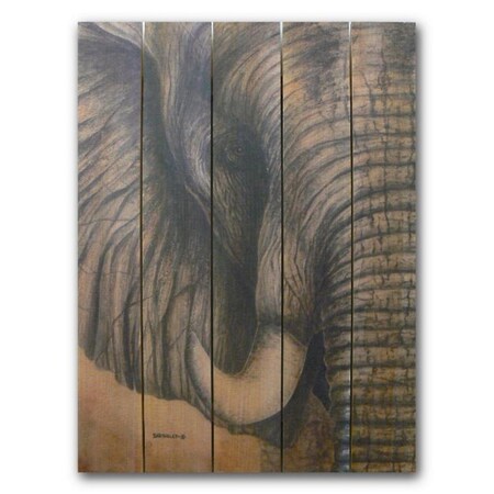 Blueprints 28 x 36 African Elephant Inside & Outside Full Color Cedar ...