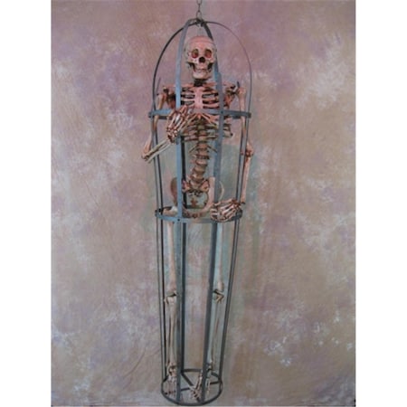 Skeletons And More Iron Skeleton Cage With Aged Life-Size Skeleton CAGE ...