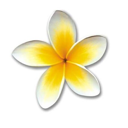 Vertex Poster VE1077524 | Zoro