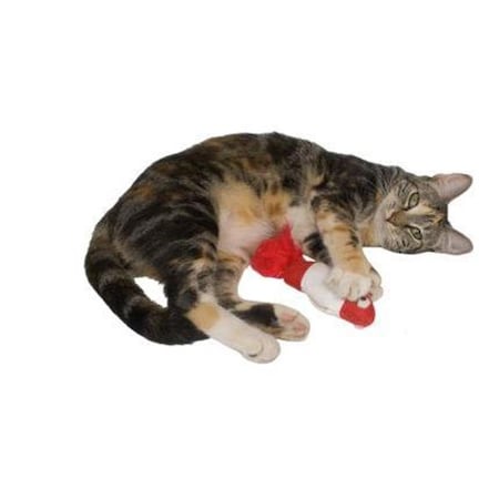 Imperial Cat 612 Bobber Catnip Toy with Organic Catnip 01088 | Zoro