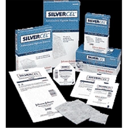Johnson & Johnson Johnson & Johnson 53800202 Silvercel 2 x 2 Inch ...