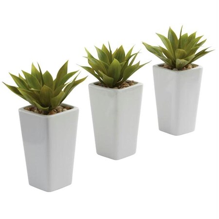 Nearly Natural Mini Agave with Planter - Set of 3 White, 3PK 4972-S3 | Zoro