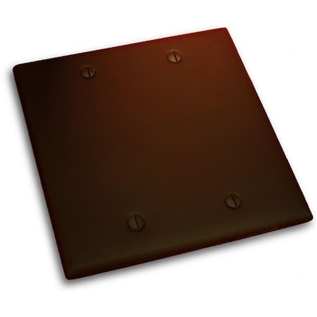 Mainframe Double Blank Switch Plate, Venetian Bronze MA119388 | Zoro